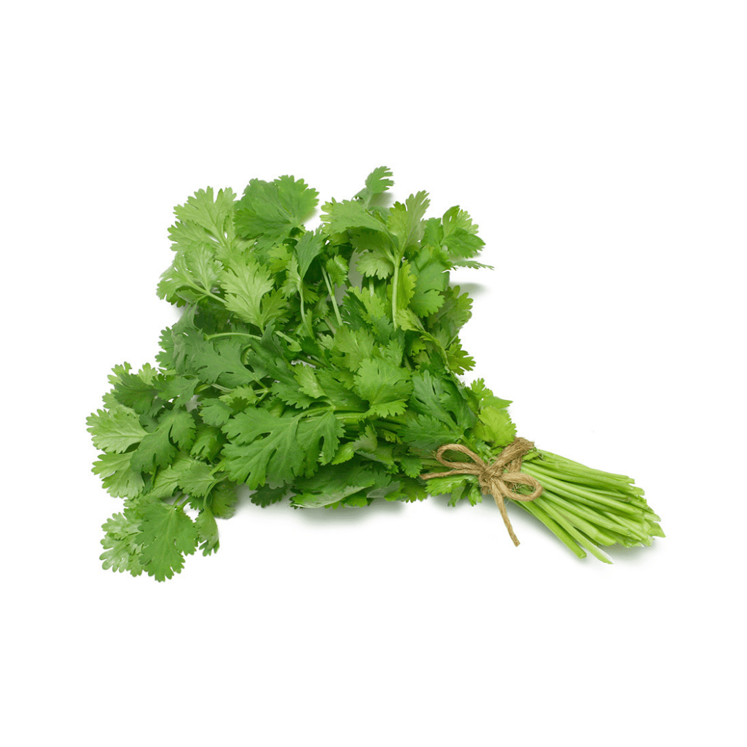 Coriandre frais chez My Healthy Box | Acheter en ligne!